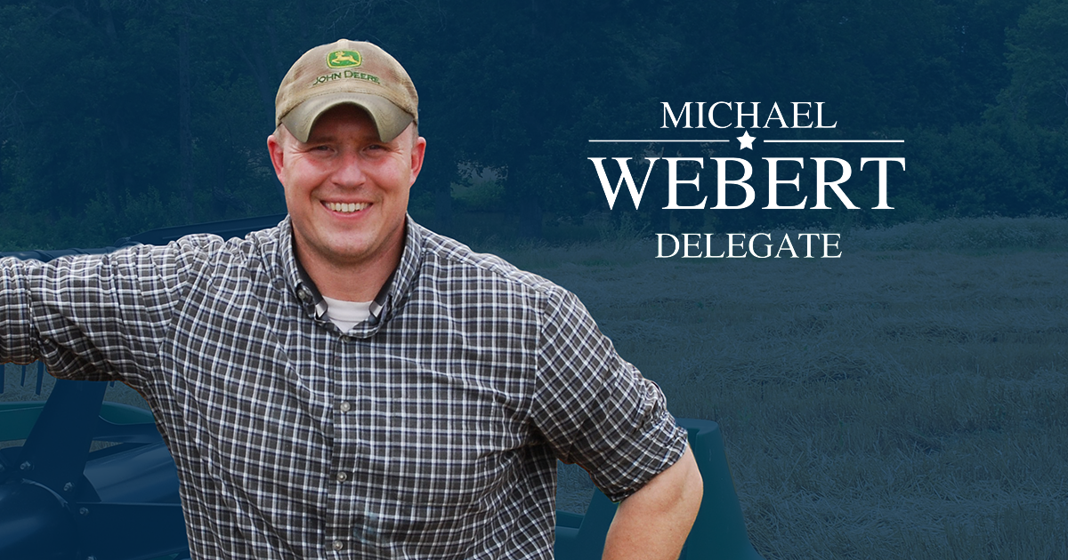 Time for Action to Stop Rising Electric Bills – Michael Webert For Delegate